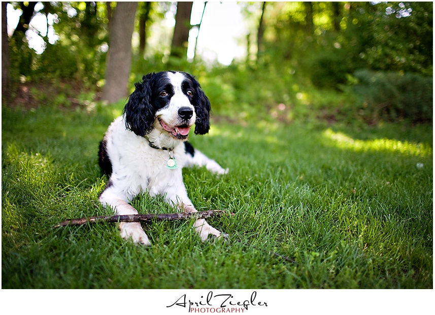 {Sneak Peek} Family - Philadelphia Portrait & Pet Photographer | April ...