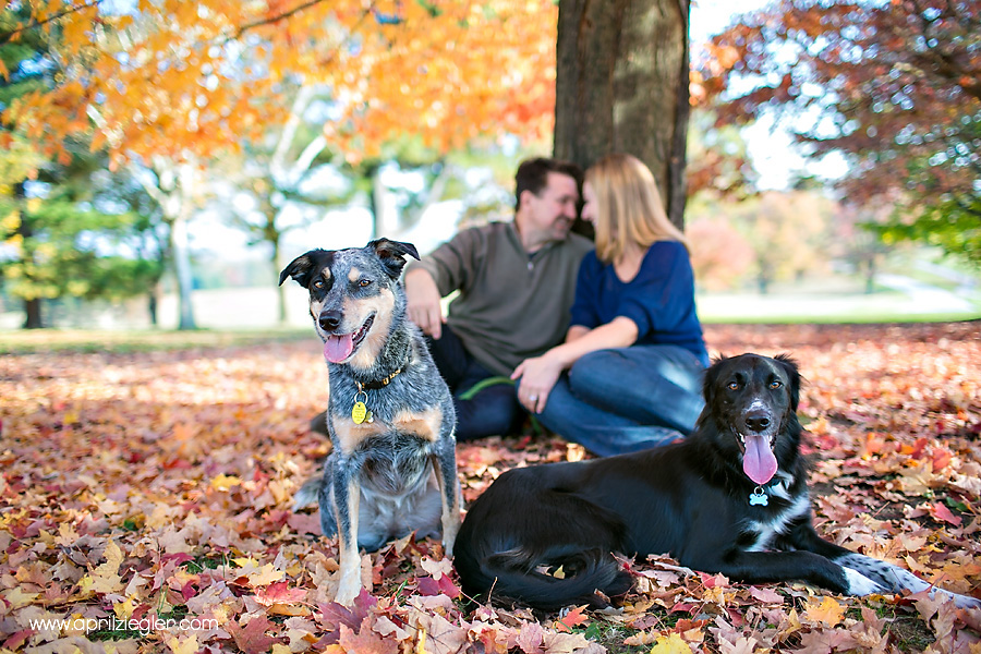 nicole + tim :: philadelphia engagement photographer - Philadelphia ...
