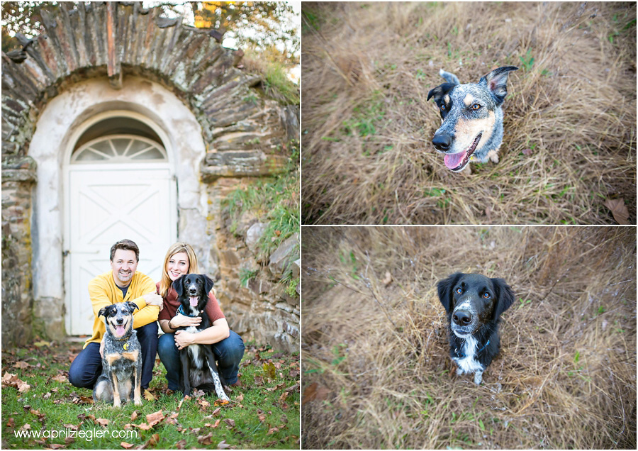 nicole + tim :: philadelphia engagement photographer - Philadelphia ...
