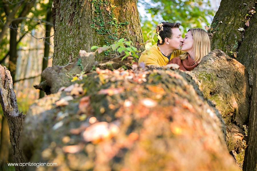 nicole + tim :: philadelphia engagement photographer - Philadelphia ...