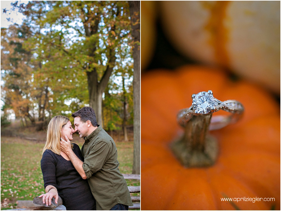 nicole + tim :: philadelphia engagement photographer - Philadelphia ...