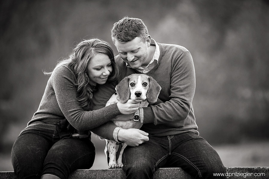 philadelphia pet photography | jack, a beagle - Philadelphia Portrait ...