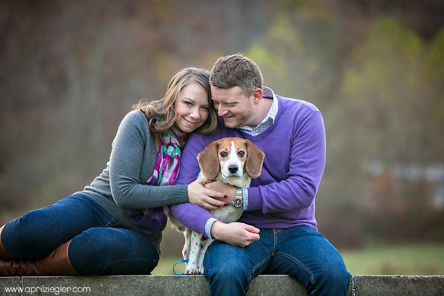 philadelphia pet photography | jack, a beagle - Philadelphia Portrait ...
